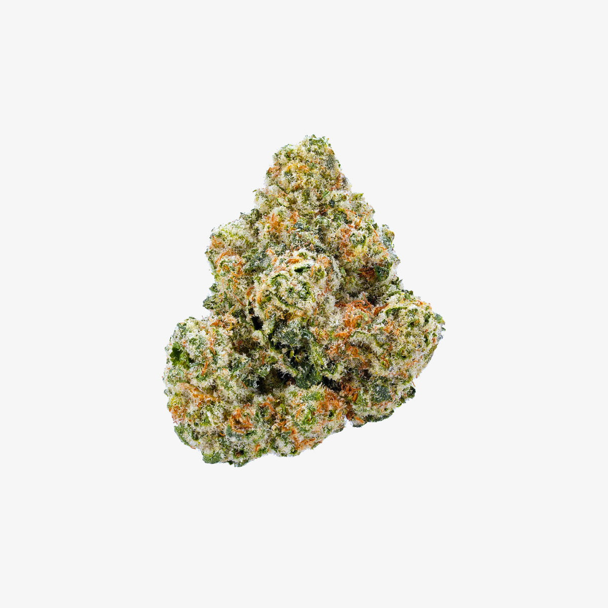 THC-A FLOWER / 1G PREROLL / ACAPULCO GOLD / HAZE EXOTICS PLATINUM RESE – New Standard Hemp Company