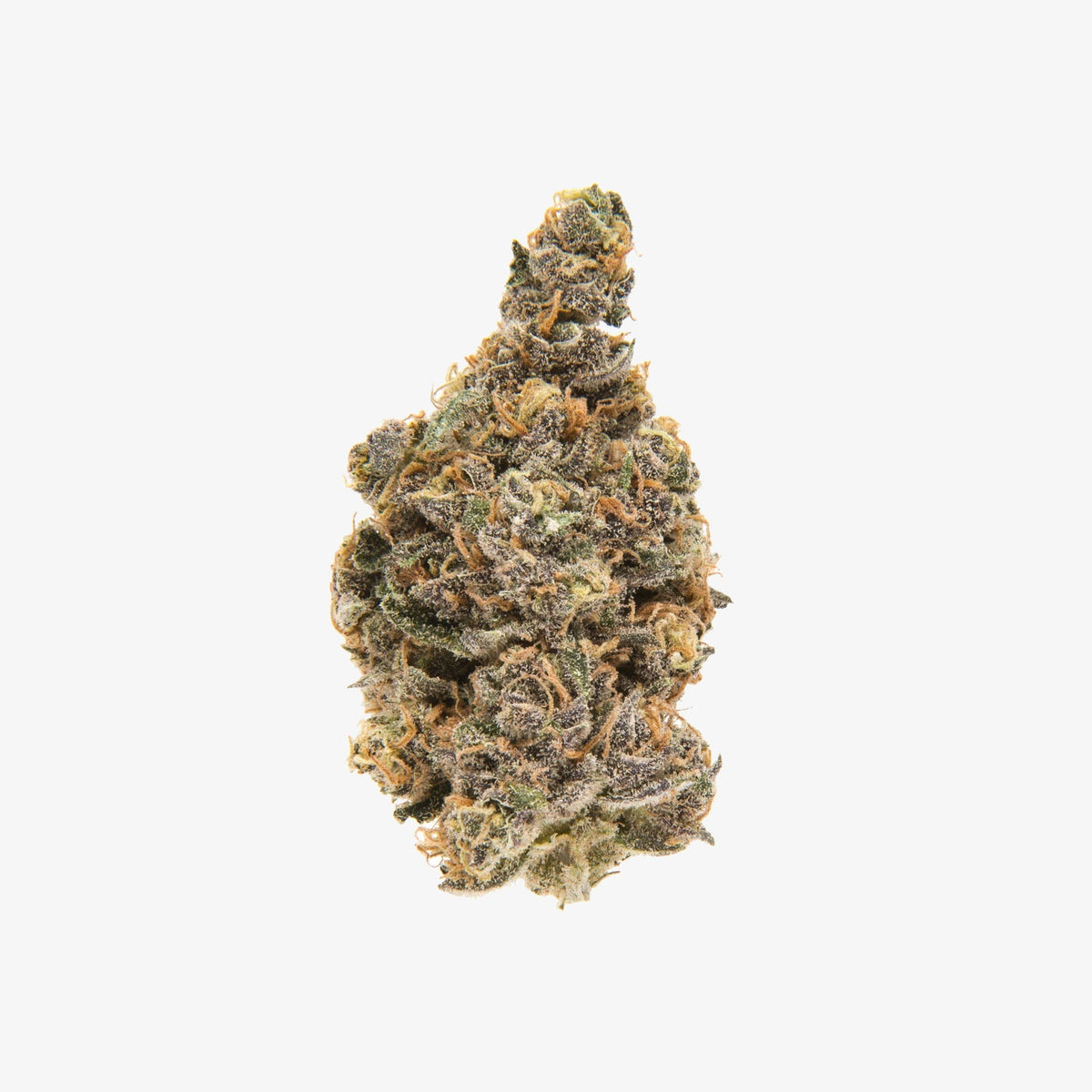 THC-A FLOWER / 1G PREROLL / BLUEBERRY MUFFIN / HAZE EXOTICS – New Standard Hemp Company