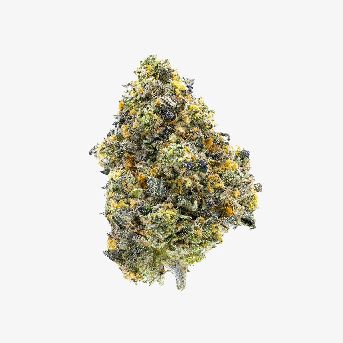 THC-A FLOWER / PABLOS REVENGE / HAZE EXOTICS – New Standard Hemp Company