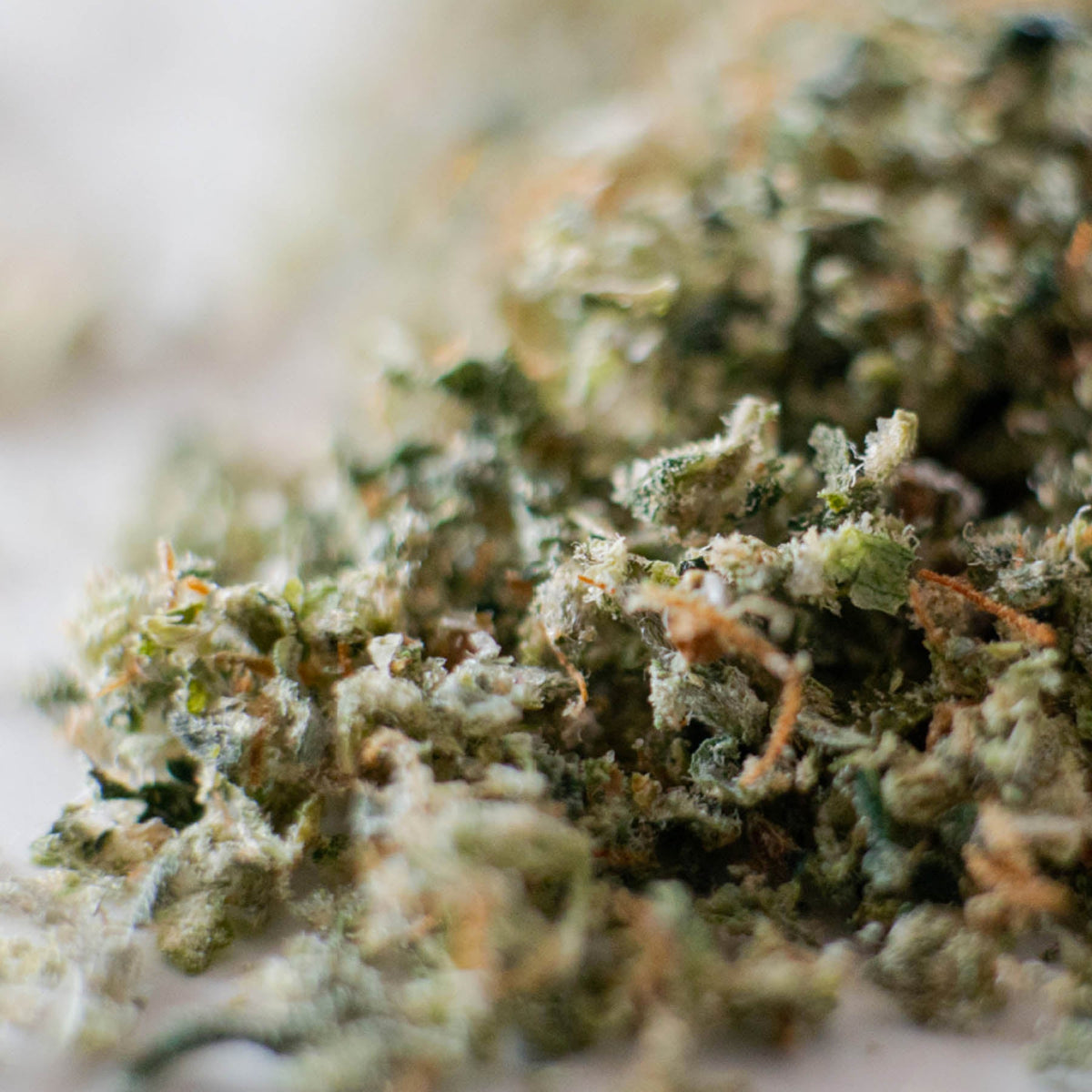 THC-A GROUND FLOWER / SEX GRENADE / HAZE EXOTICS – New Standard Hemp Company