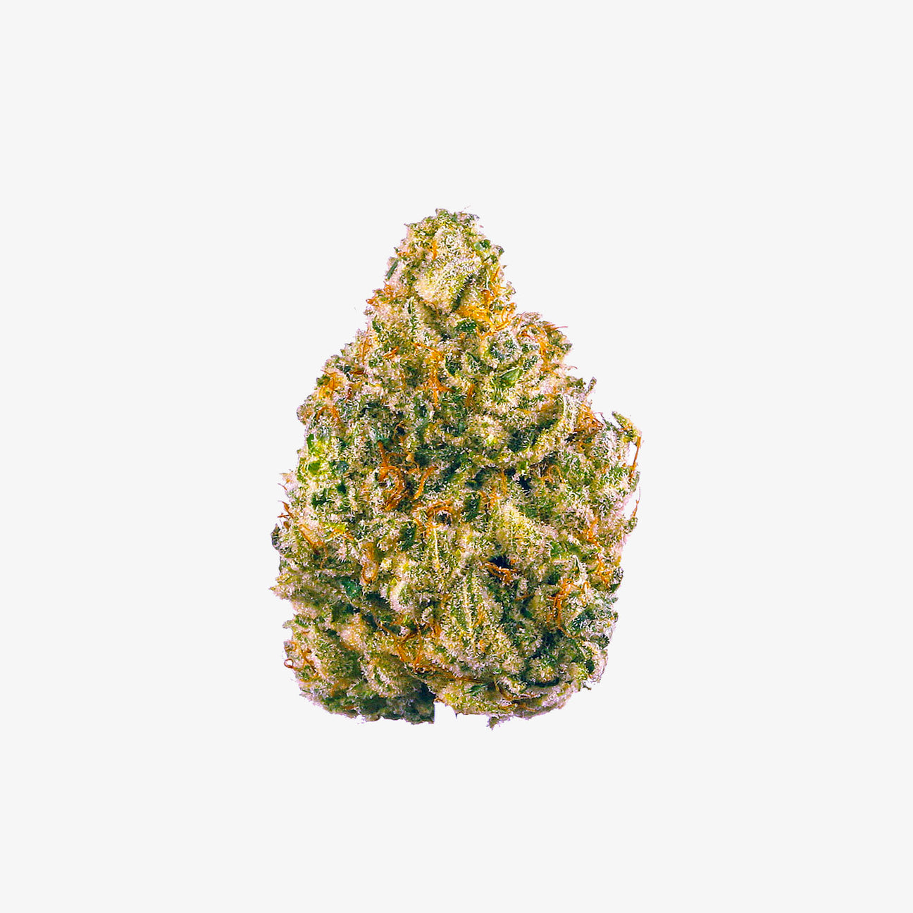 THC-A FLOWER / 1G PREROLL / OBAMA RUNTZ / HAZE EXOTICS – New Standard ...