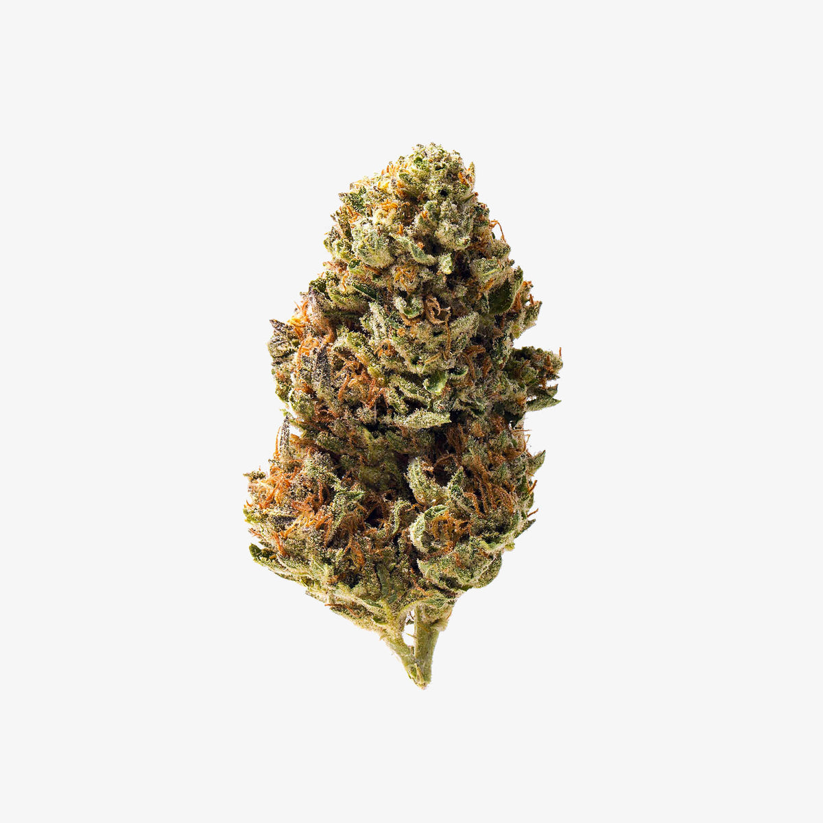 THC-A FLOWER / COWBOY COOKIES / REVENGE – New Standard Hemp Company