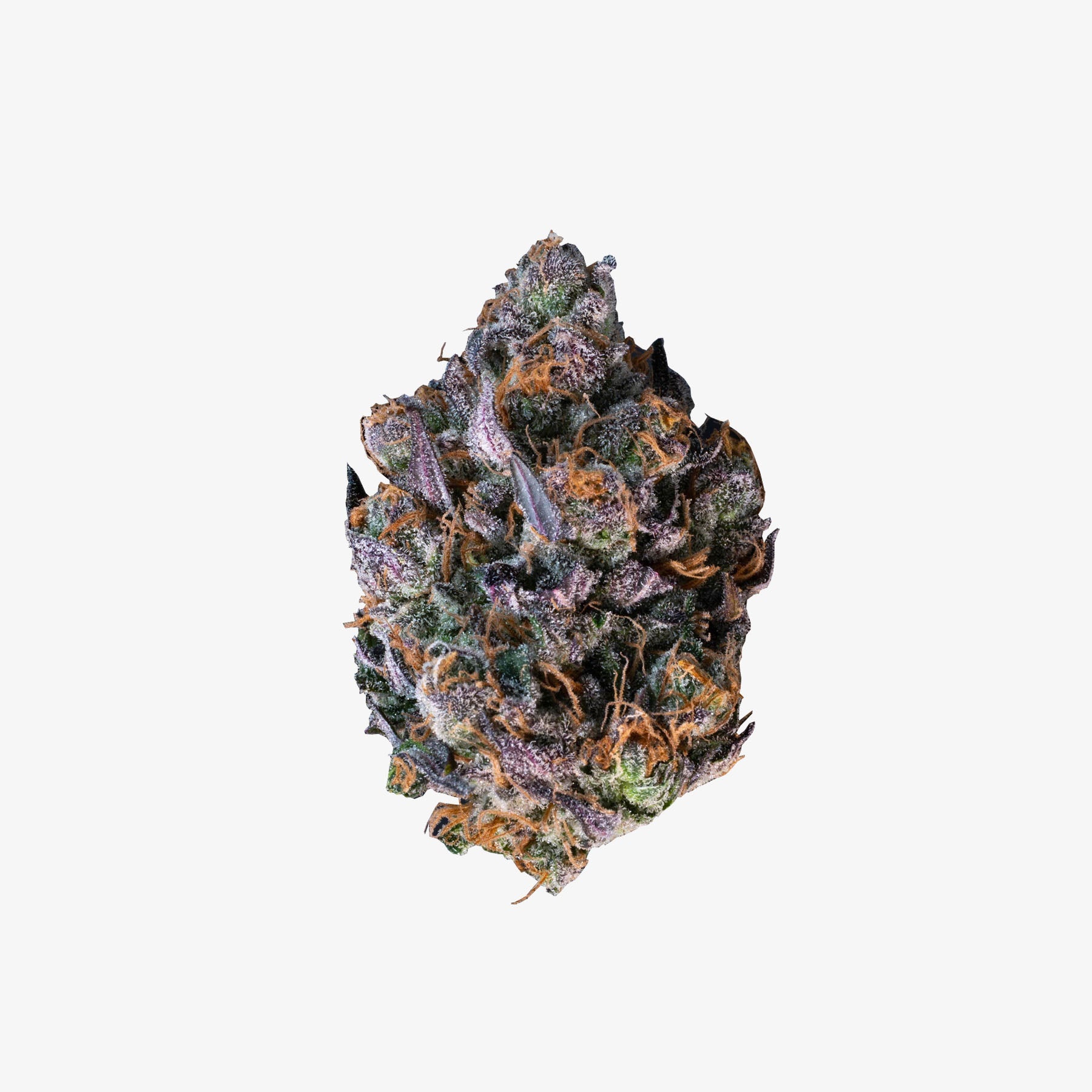 THC-A FLOWER / DON CARLOS / REVENGE – New Standard Hemp Company